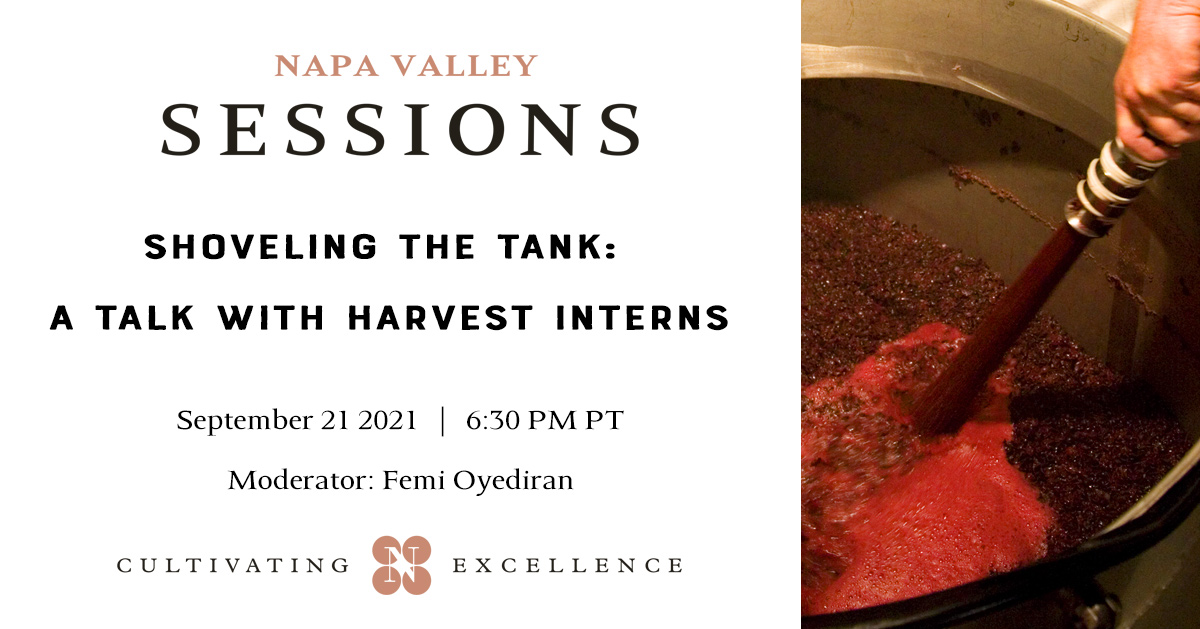 Shoveling the Tank: A Talk with Harvest Interns